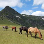 7 Rila lakes and Rila monastery day tour from Sofia - Who Will Love This Tour?