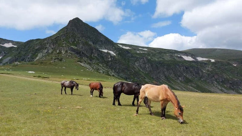 7 Rila lakes and Rila monastery day tour from Sofia - Who Will Love This Tour?