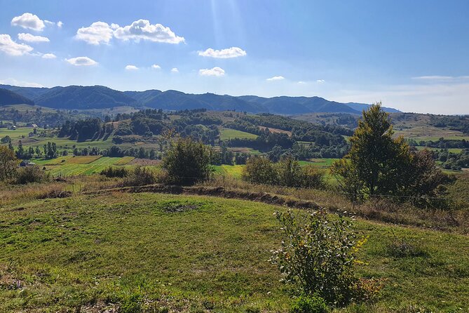 4 Days Private Tour in Transylvania  Departure and Return from/to Bucharest - Authentic Experiences and Real-World Feedback