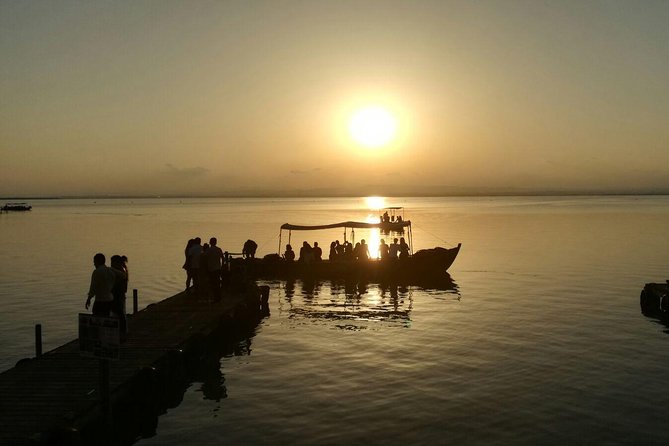 Albufera Natural Park Tour with Boat Ride from Valencia - Stop 5: El Palmar