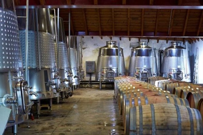 Algarve Wine Tour of Two Wine Estates - Who Should Consider This Tour?