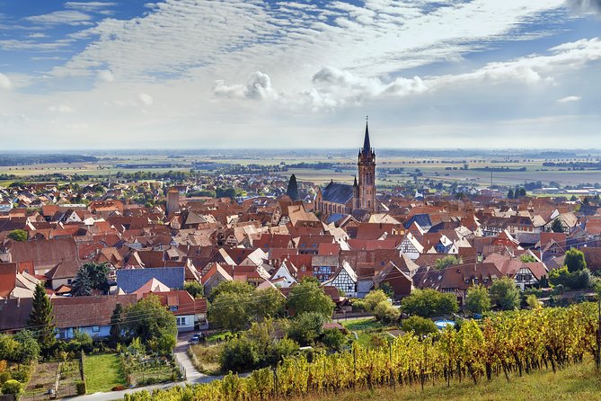 Alsace Wine Route Wineries & Tasting Small Group Guided Tour from Strasbourg - Transportation and Practical Details
