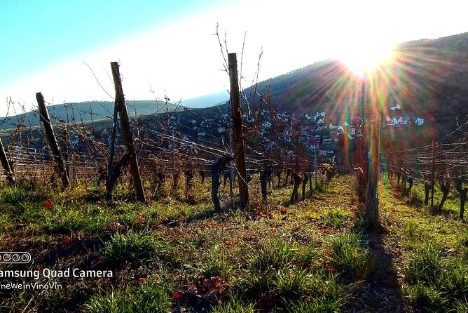 Alsace wine tour and medieval villages. Small group guided tour - FAQs