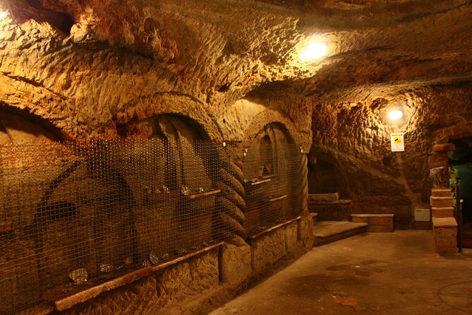 Aperitif in the famous underground caves of Orvieto - Who Should Consider This Tour?