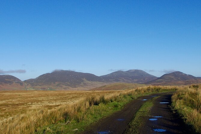Bog Safari Hike - Final Thoughts