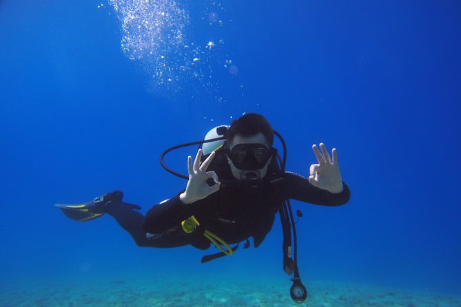 BRELA Bikini Dive *Try SCUBA DIVING* - The Sum Up: Is It Worth It?