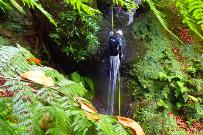 Canyoning Madeira Island - Level One - FAQ