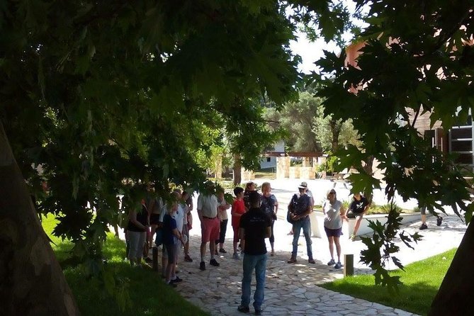 Chania Shore Excursion Off Road Vineyard and Winery Tour Half Day - FAQ