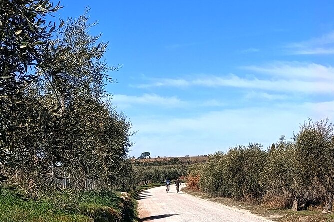 Chianti Adventure E-bike tour rental - The The Sum Up