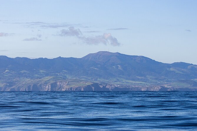 Coastal boat tour in Ribeira Grande and Porto Formoso - Final Thoughts