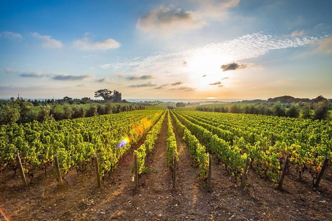 Corinth and Nemea Wine-tasting full day tour from Athens - FAQ