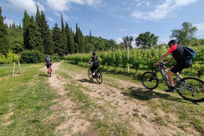 E-Bike and tour from Lonato del Garda with Wine Tasting - FAQ