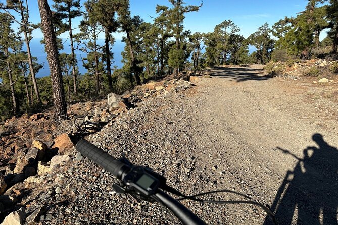 E-bike Ride at Chinyero Natural Reserve - on premium bikes - Who This Tour Is Best For
