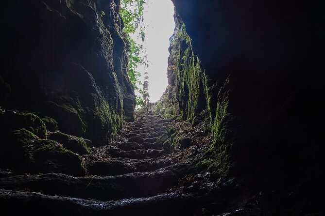 Etna Morning Tour, caves and craters - Who Will Love This Tour?