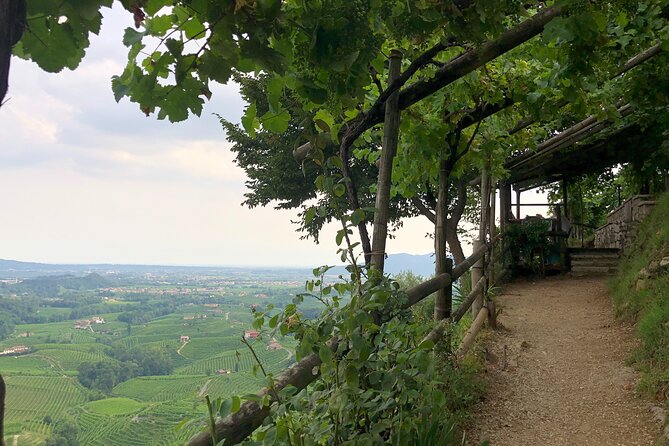Food and Wine Tour on the Prosecco Hills from Venice - FAQs About the Prosecco Hills Food & Wine Tour