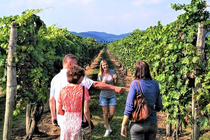 From Abano Montegrotto, Wine Tour in the Euganean Hills - Who would love this?