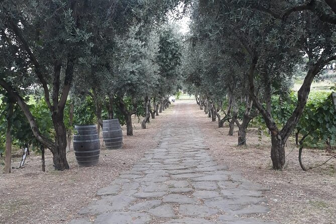From Rome to the Castles: Private 3-Hour Wine Tasting Tour - Final Thoughts
