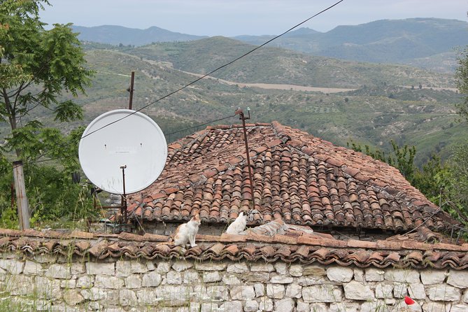 From Tirana Day Trip to Berat -Historical Walking - Who Will Enjoy This Tour?