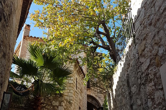 Full Day Private Custom French Riviera Tour from Nice - FAQ