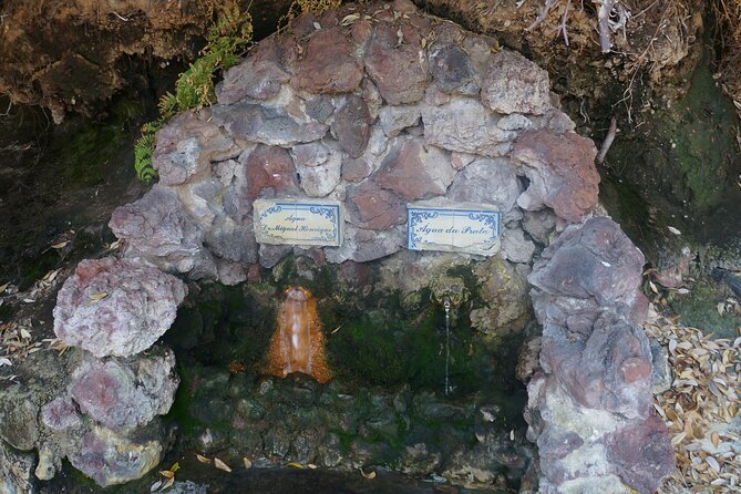 Full-Day Private São Miguel Tour with Furnas and Hot springs - Transportation and Overall Experience