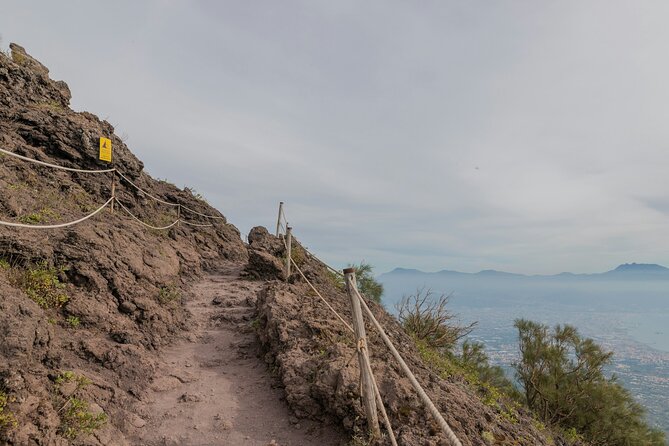 Full Day Tour to Pompeii, Vesuvius and Wine Tasting - FAQ