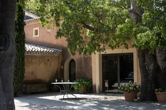 Full-day Wine Tour around Bandol & Cassis from Marseille - The Sum Up