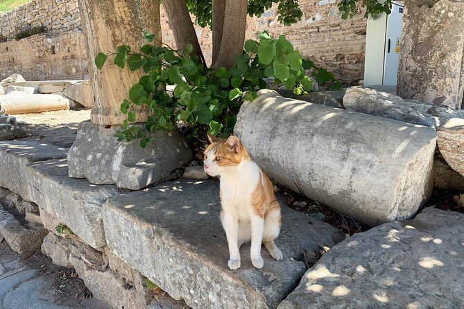 Guided Ephesus Tour From/to Izmir - Who Is This Tour Best For?