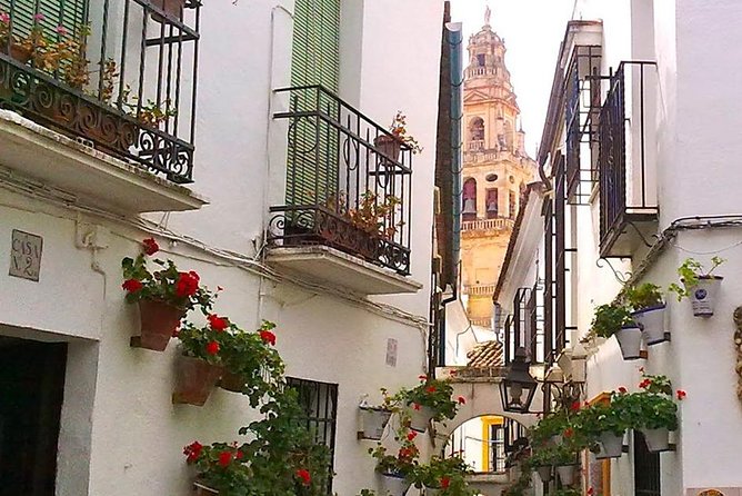 Guided Tour Jewish Quarter and Mosque-Cathedral of Córdoba with tickets - Who Should Take This Tour?