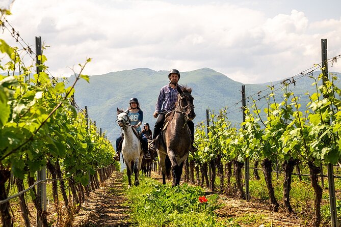 Half-Day of Horseback Adventure with Wine Tasting - Who Will Love It Most?