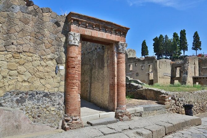 Herculaneum VIP Tour with Lunch from Naples - FAQ