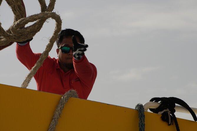 Highspeed Catamaran Crossing Between Malta and Gozo - FAQ