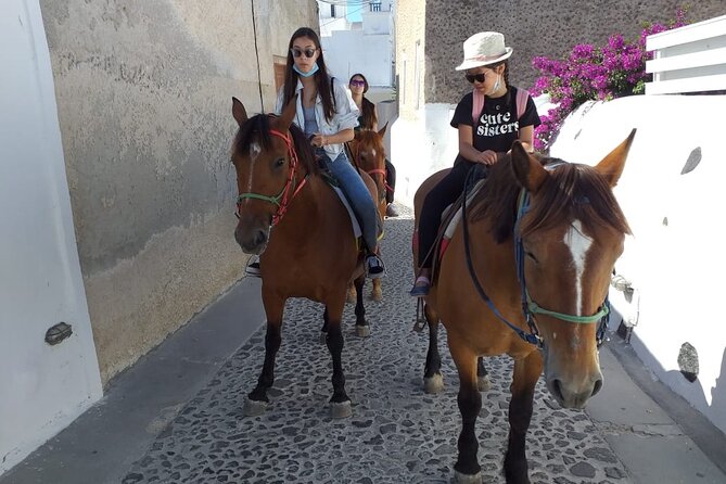 Horse Riding--Explore secret Thera - Real Voices from Participants
