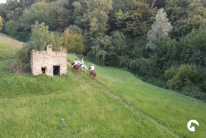 Horseback riding for experts between the lake and the mountains - Final Thoughts