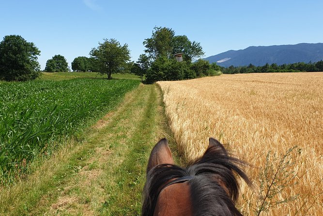 Horseback Riding In Bled - Final Thoughts