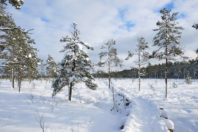 Husky Dog Sledding Tour From Riga - Final Thoughts