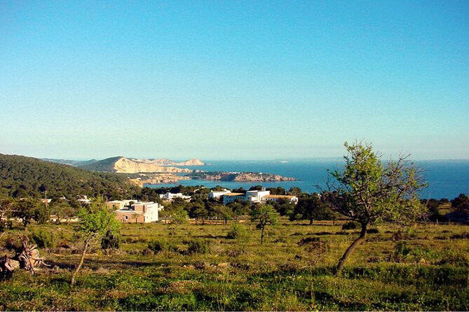 Ibiza Beaches and Villages Private Tour - FAQ