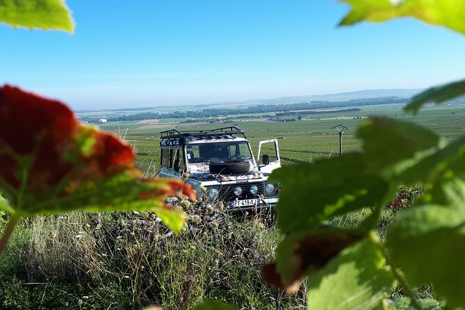 Independent wine tour, cellar and tasting in the vineyards - FAQ