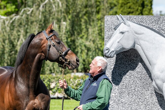 Irish National Stud & Gardens Skip the line Entrance - Who Will Love This Tour?