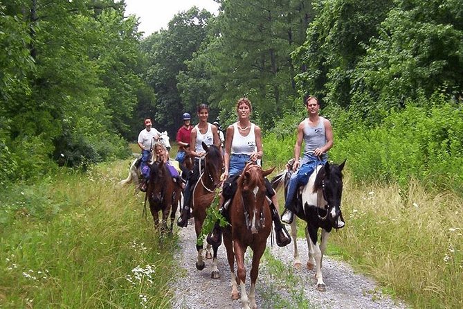 Kusadasi Horseback Riding - Who Should Consider This Tour?