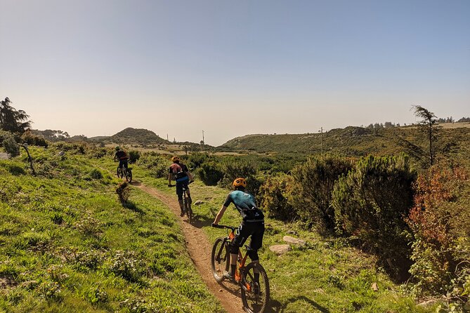 Madeira Island Guided Mountain Biking Adventure - The Bottom Line