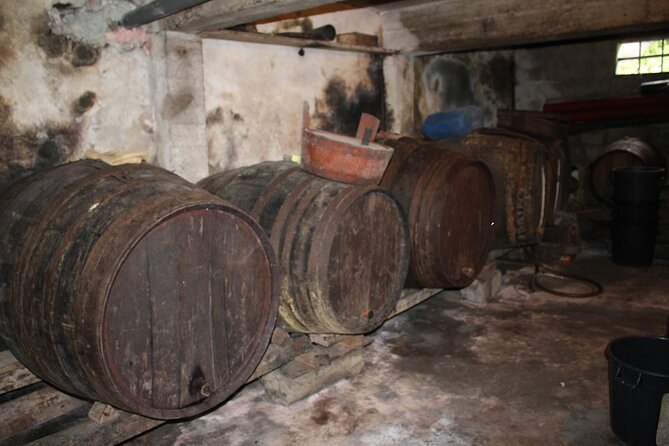 Madeira Island Private Wine Full-day Tour in all terrain vehicle - The Sum Up