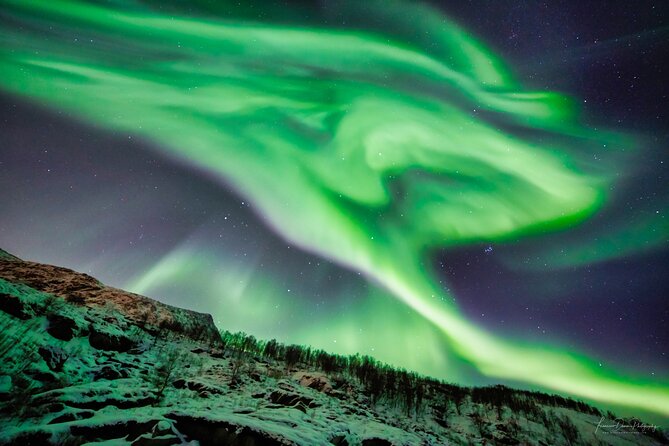 Minivan Northern Lights excursion (8 guests per minivan) - Transportation and Duration: How It Adds Up