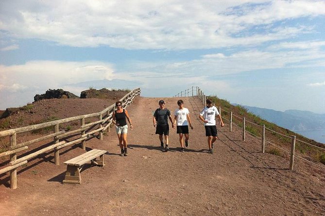 Pompeii, Herculaneum and Vesuvius Private Guided Tour - Cost and Value
