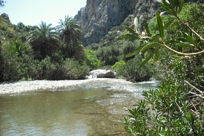 Preveli palm Beach & Damnoni Excursion - FAQ: Your Practical Questions Answered