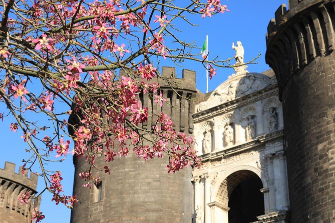 Private Day Tour of Naples from Sorrento - FAQ