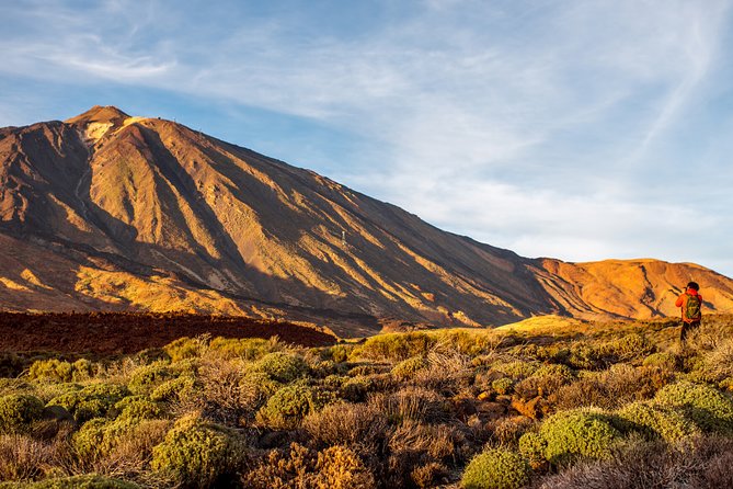 Private excursion to Teide National Park - What Makes This Tour Stand Out