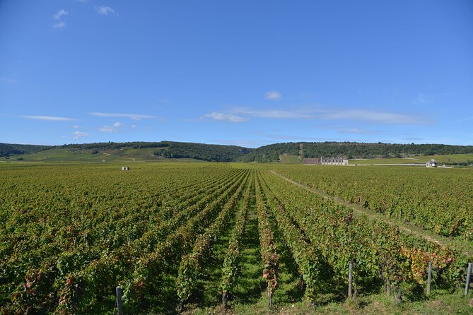 Private Full Day Tour Burgundy Gourmet - Who Will Love This Tour?