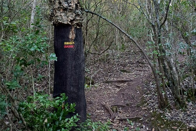 Private Hiking Adventure at Arrábida Mountain - FAQs