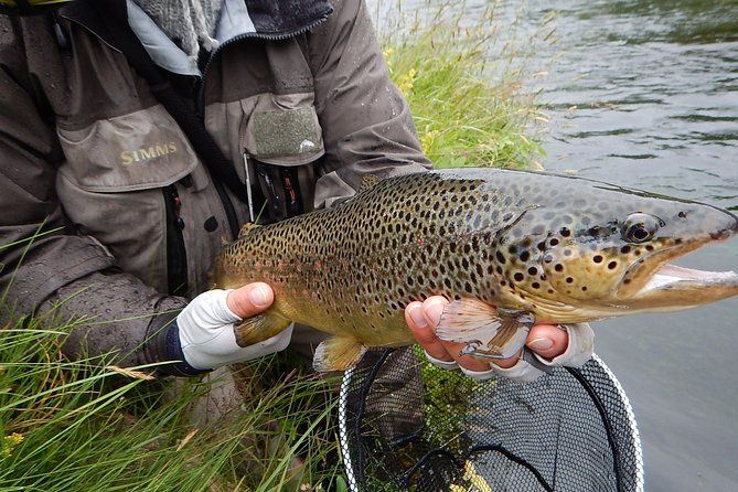 Private Lake and River Fishing Tour from Reykjavik - Who Is This Tour Best For?