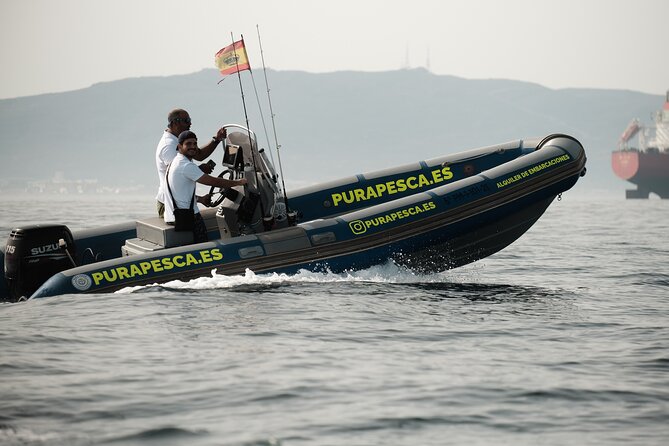 Private Tour with Dolphin Watching in Algeciras Bay - The Sum Up